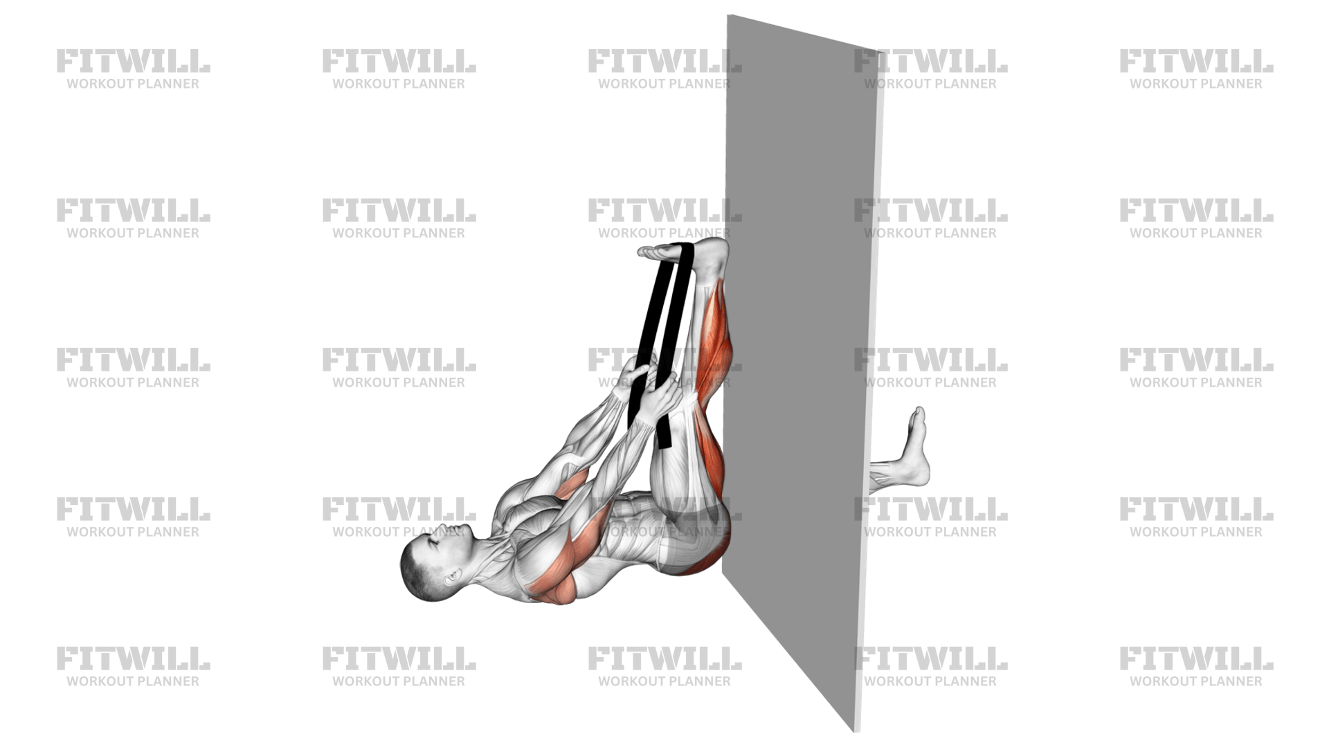 Recumbent Knee Flexor Stretch With Towel: Exercise Guide, Techniques ...