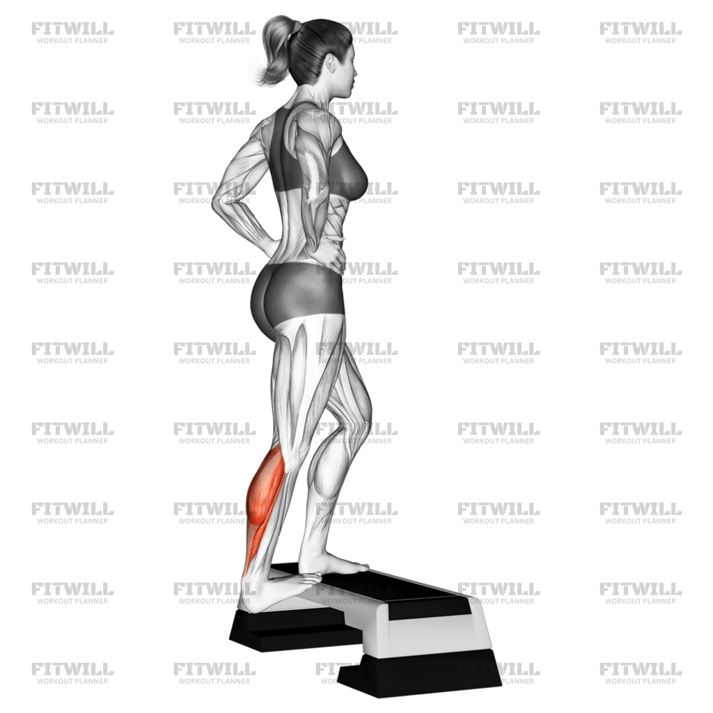 Single Heel Drop Calf Stretch: Exercise Guide, Techniques, Benefits ...