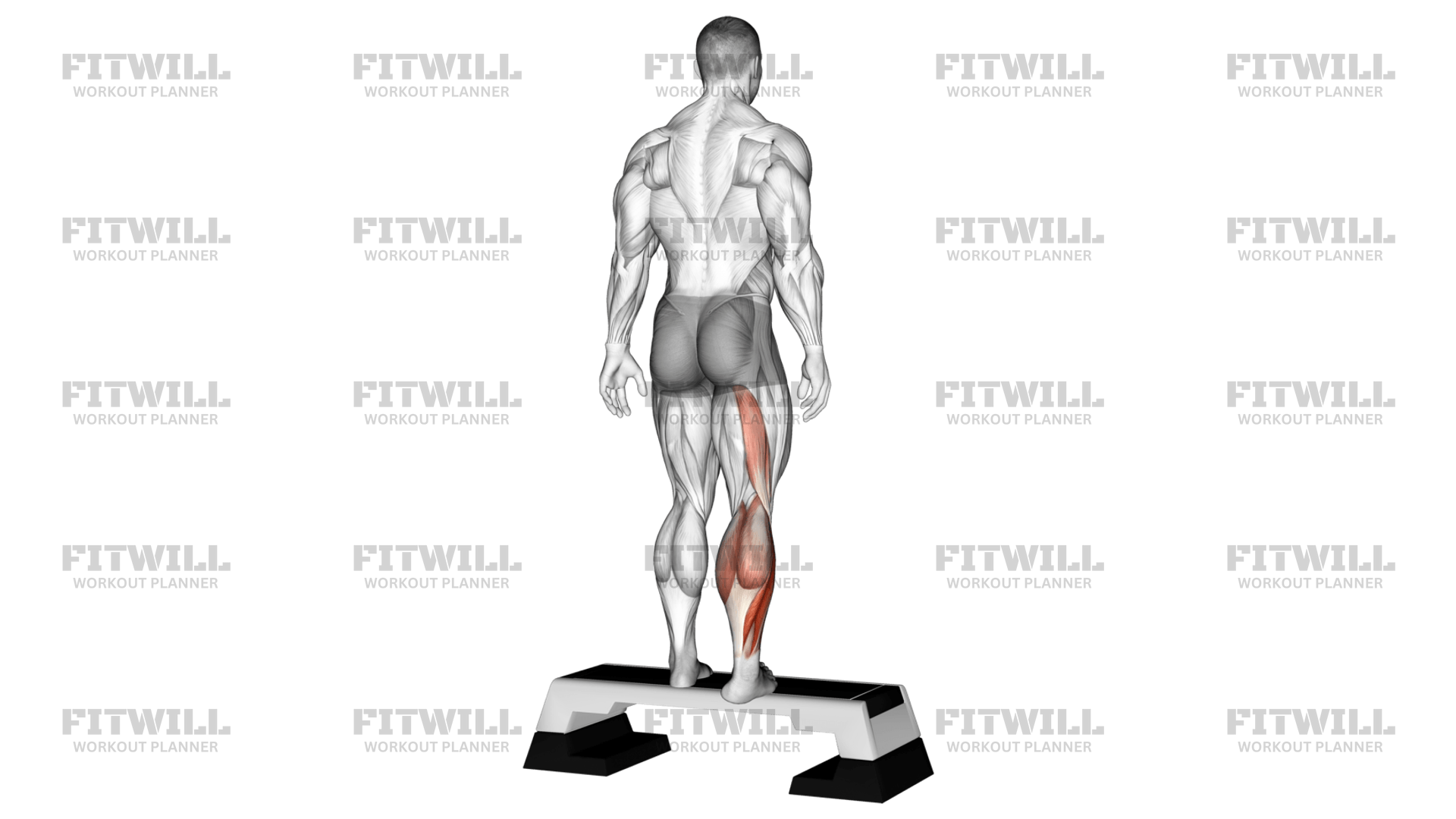 Plantar Flexor And Foot Everter Stretch: Exercise Guide, Techniques ...