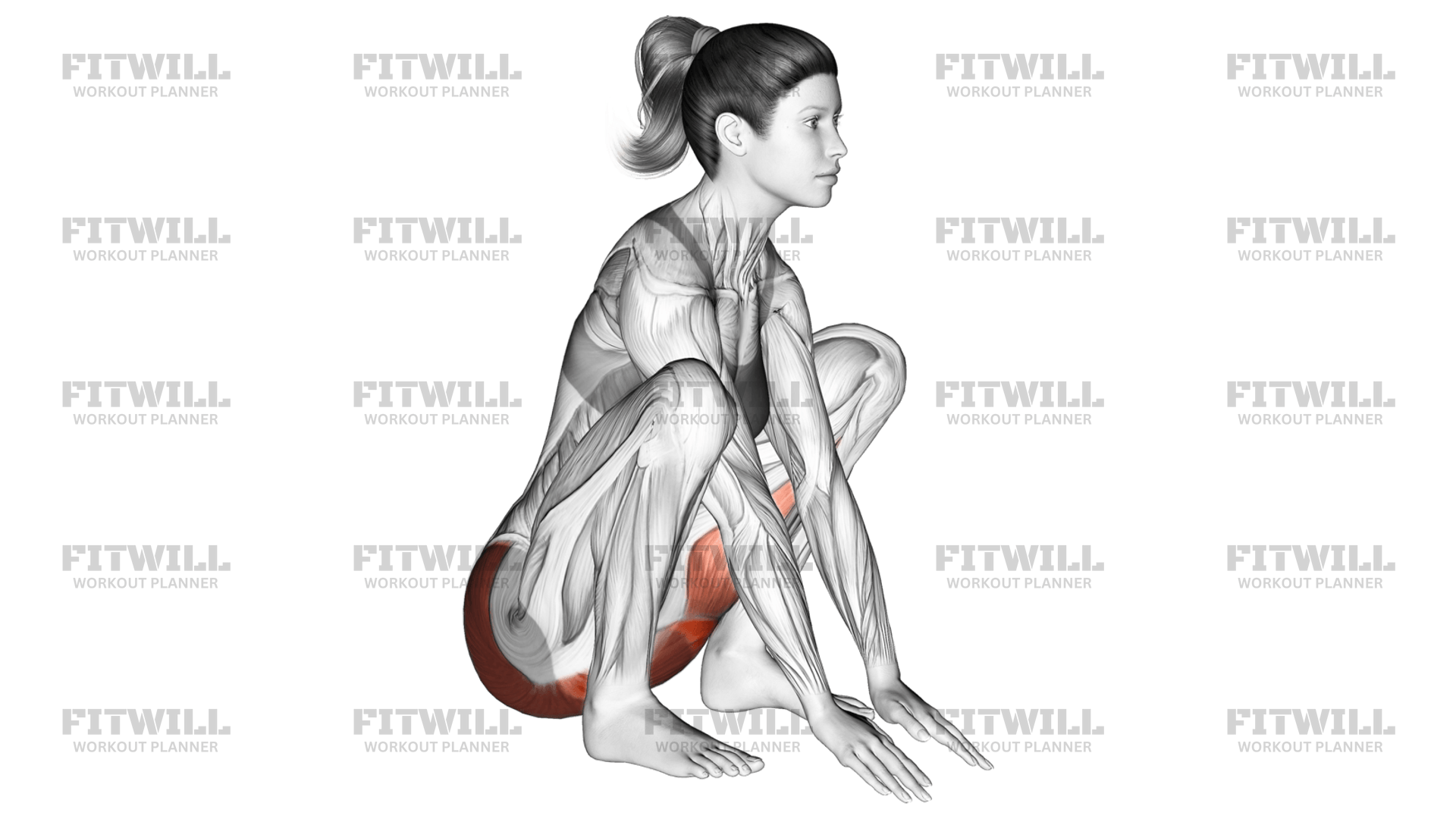 Hip And Knee Flexion Squatting Stretch: Exercise Guide, Techniques ...