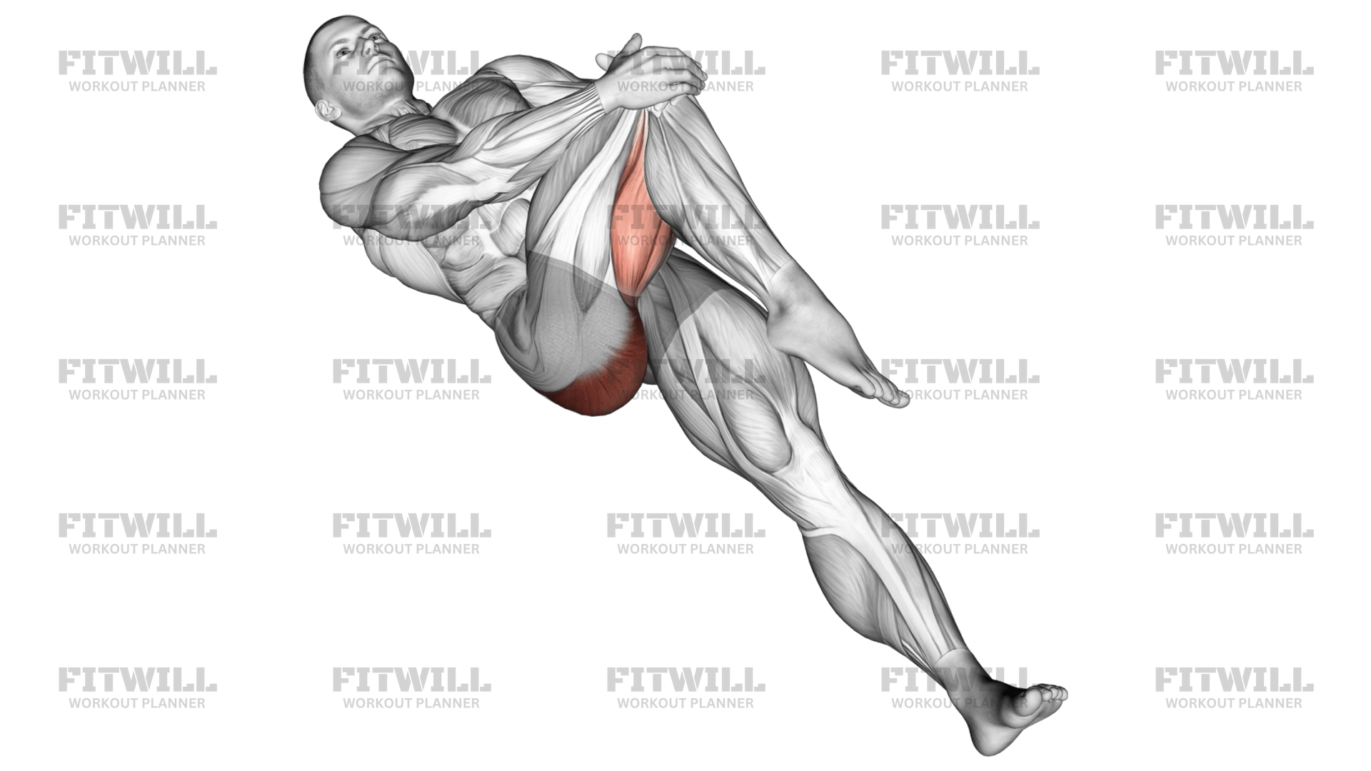 Lying Cross Over Knee Pull Up Stretch: Exercise Guide, Techniques, Benefits, How to, Muscles ...
