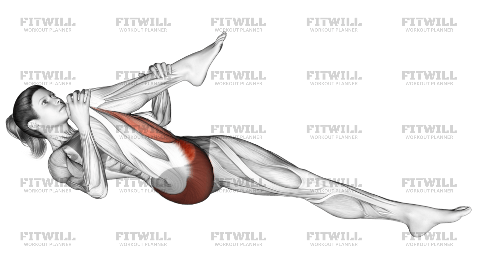 Recumbent Hip External Rotator And Hip Extensor Stretch Exercise Guide Techniques Benefits