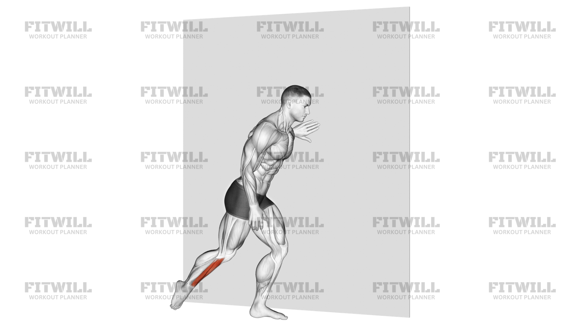 Standing Shin Stretch: Exercise Guide, Techniques, Benefits, How to ...