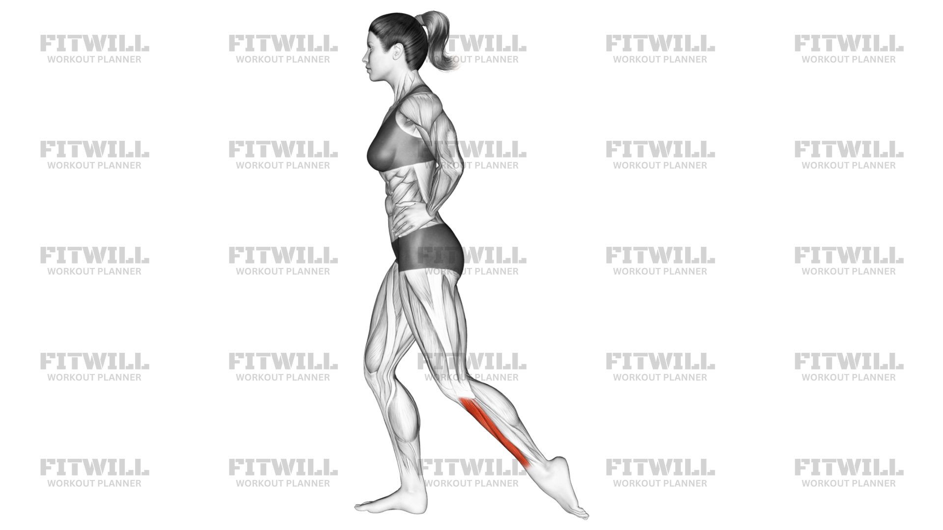 Standing Toe Extensor Stretch: Exercise Guide, Techniques, Benefits ...