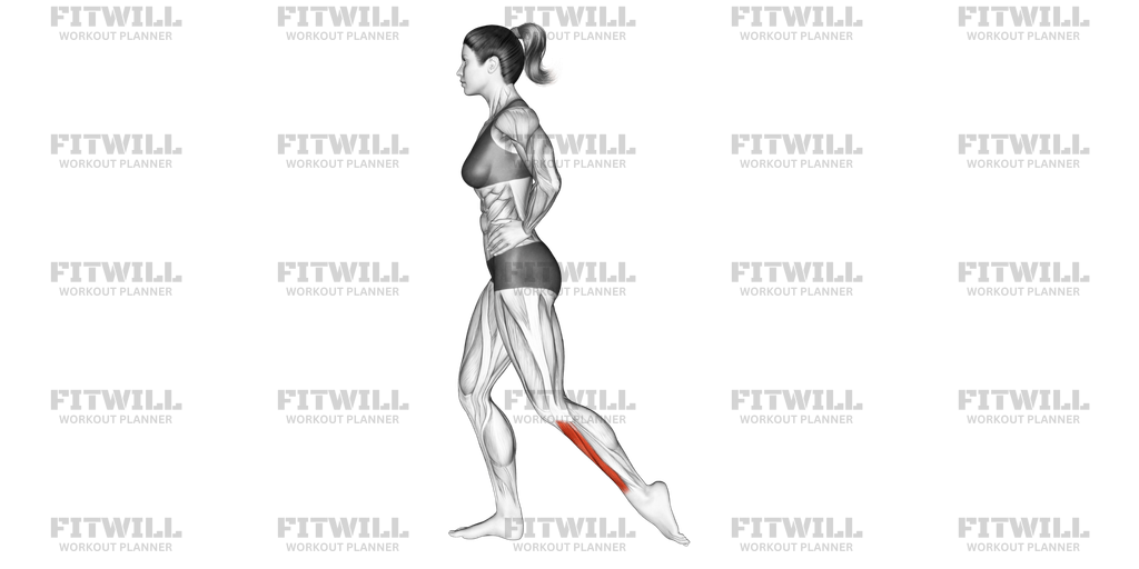 Standing Toe Extensor Stretch: Exercise Guide, Techniques, Benefits ...