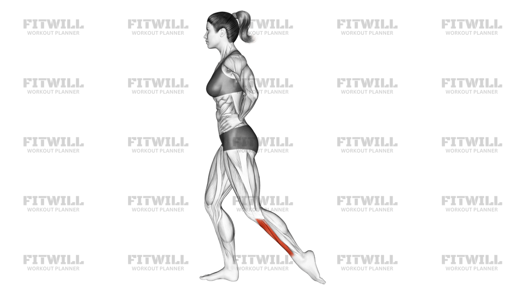 Standing Toe Extensor Stretch: Exercise Guide, Techniques, Benefits ... Standing Toe Extensor Stretch: Exercise Guide, Techniques, Benefits ...