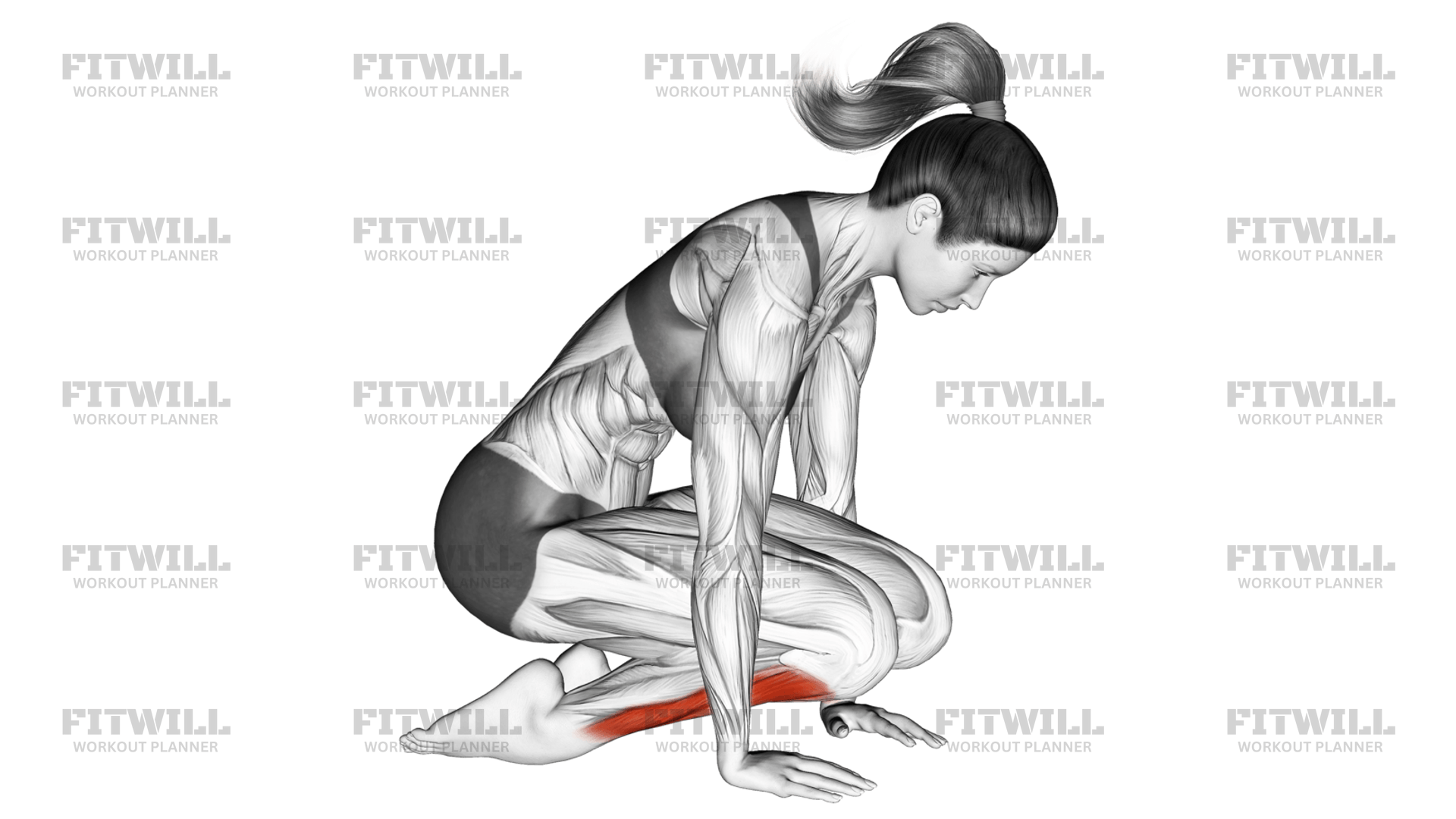 Double Kneeling Shin Stretch: Exercise Guide, Techniques, Benefits, How ...