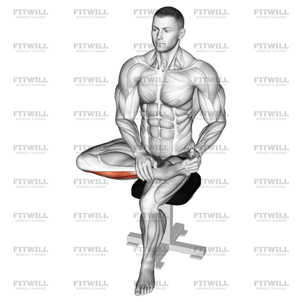 Seated Toe Extensor Stretch: Exercise Guide, Techniques, Benefits, How ...