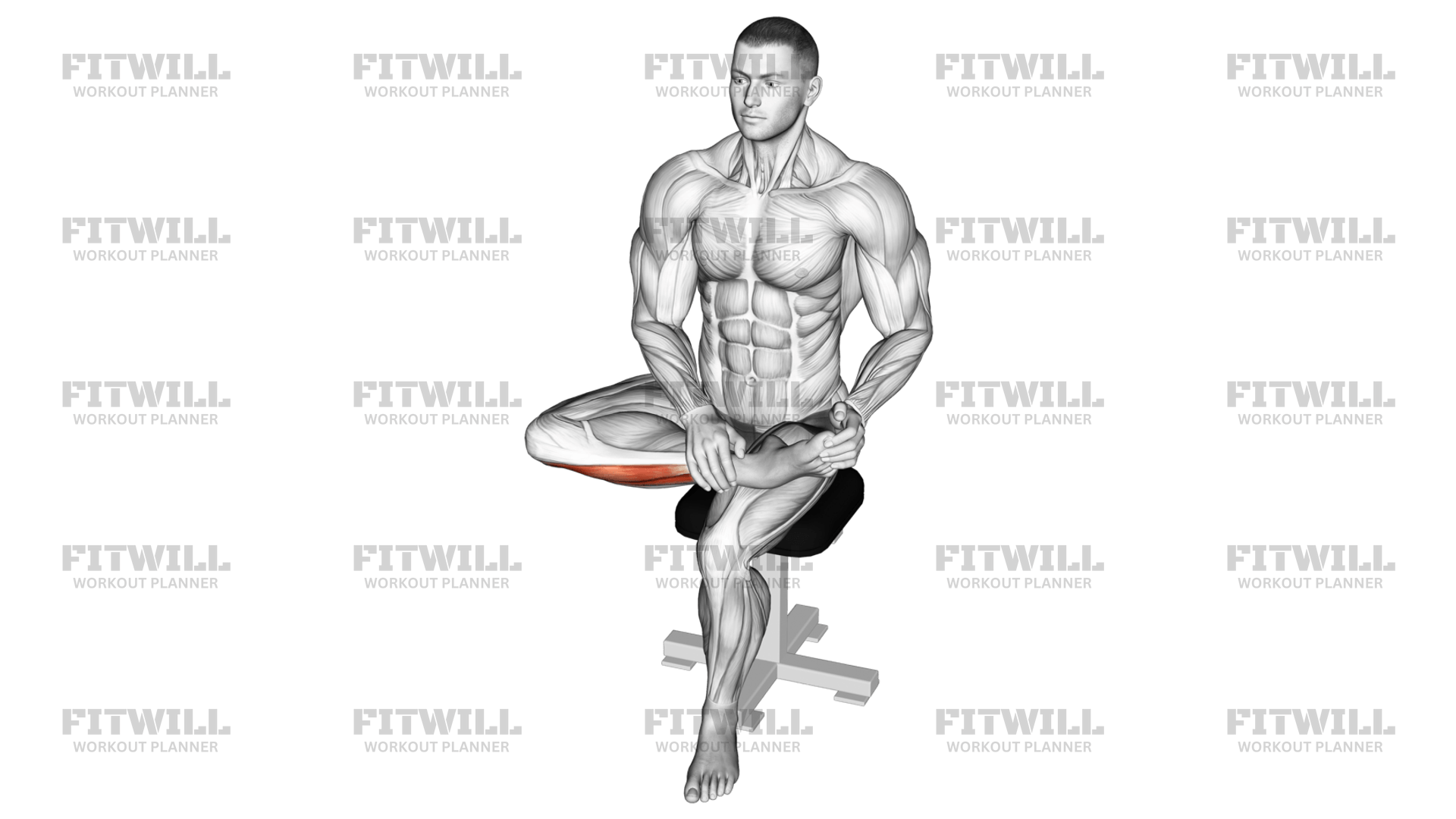 Seated Toe Extensor Stretch: Exercise Guide, Techniques, Benefits, How ... Seated Toe Extensor Stretch: Exercise Guide, Techniques, Benefits, How ...