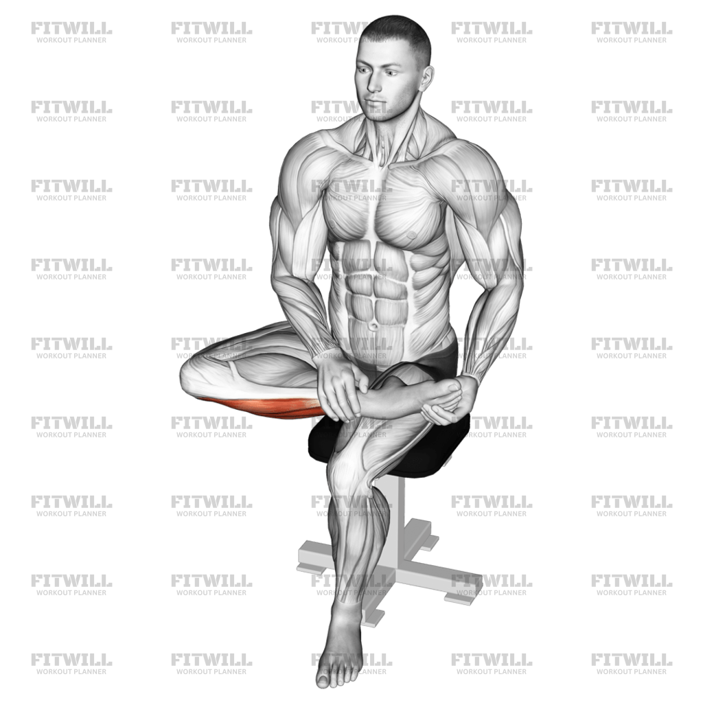 Seated Toe Extensor And Foot Everter Stretch: Guide, Techniques ...