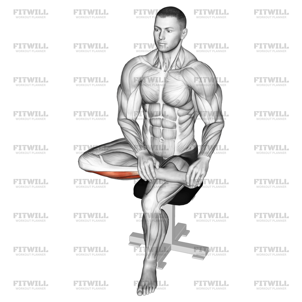 Seated Toe Extensor And Foot Inverter Stretch: Exercise Guide ...