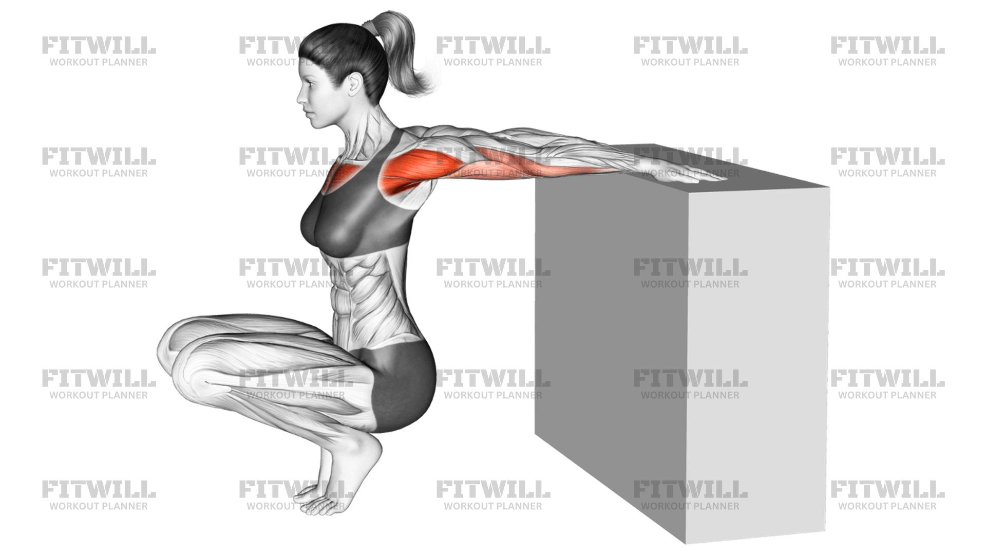 Reverse Shoulder Stretch: Exercise Guide, Techniques, Benefits, How to ...