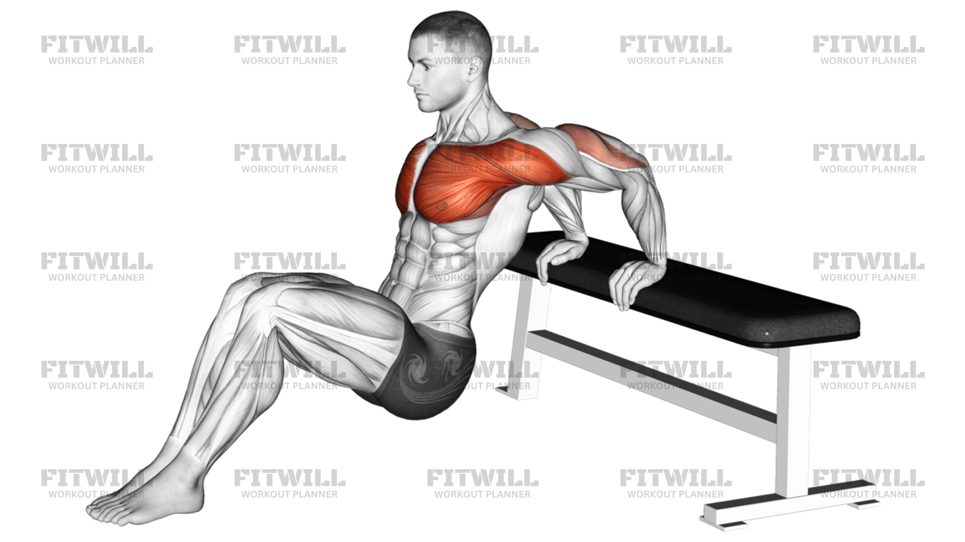 Sitting Shoulders Stretch On Bench: Exercise Guide, Techniques ...
