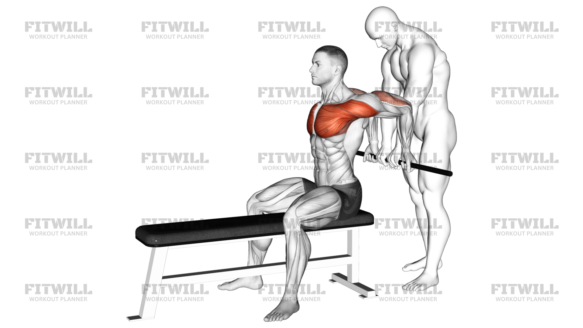 Assisted Sitting Reverse Shoulder Stretch: Exercise Guide, Techniques ...