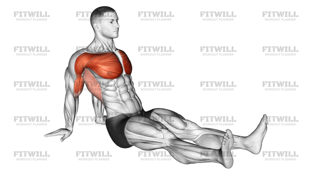 Seated Shoulder Flexor Depresor Retractor Stretch: Exercise Guide ...