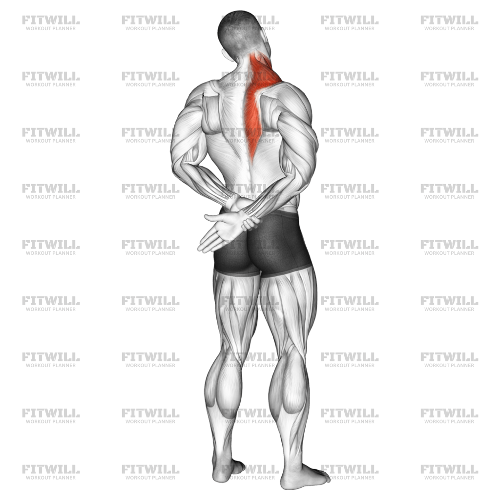 Adduction Of Arm In Back Stretch: Exercise Guide, Techniques, Benefits ...