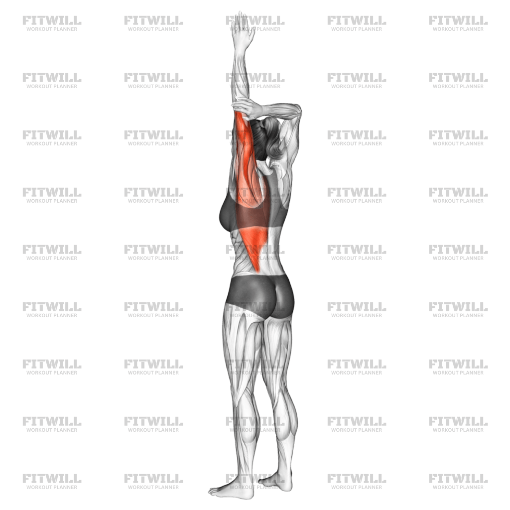 Shoulder Adductor Elevator And Protractor Stretch: Exercise Guide ...