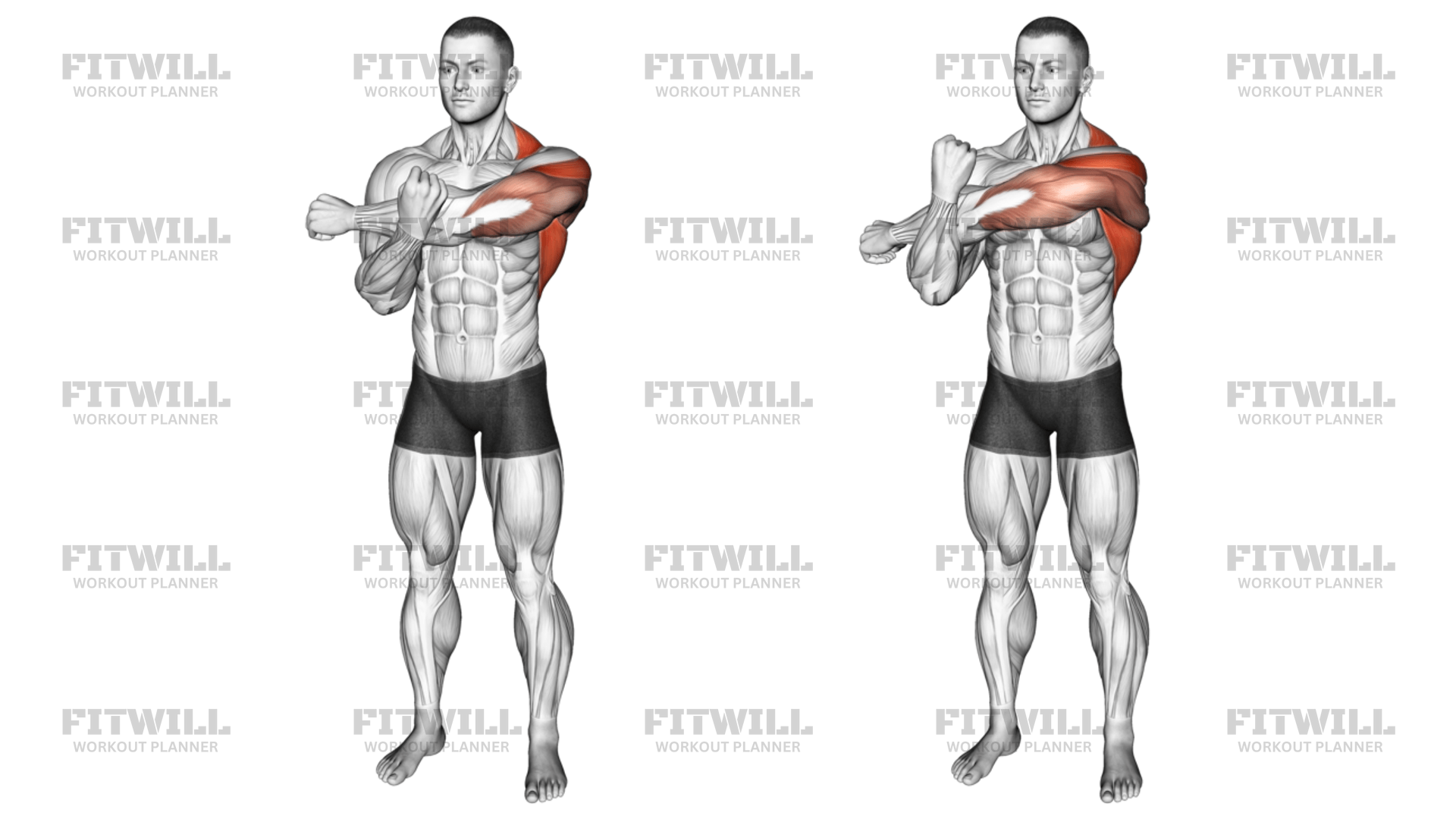 Across Chest Shoulder Stretch: Exercise Guide, Video, Techniques ...