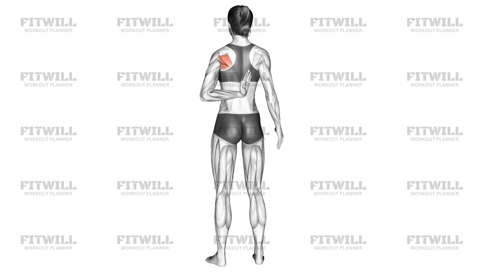 Reaching Up Shoulder Stretch: Exercise Guide, Techniques, Benefits, How ...