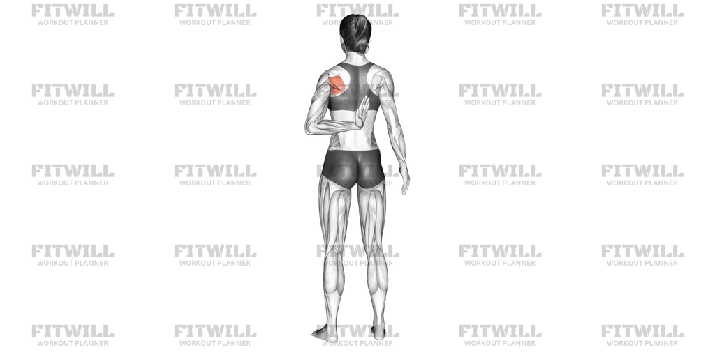 Reaching Up Shoulder Stretch: Exercise Guide, Techniques, Benefits, How ...