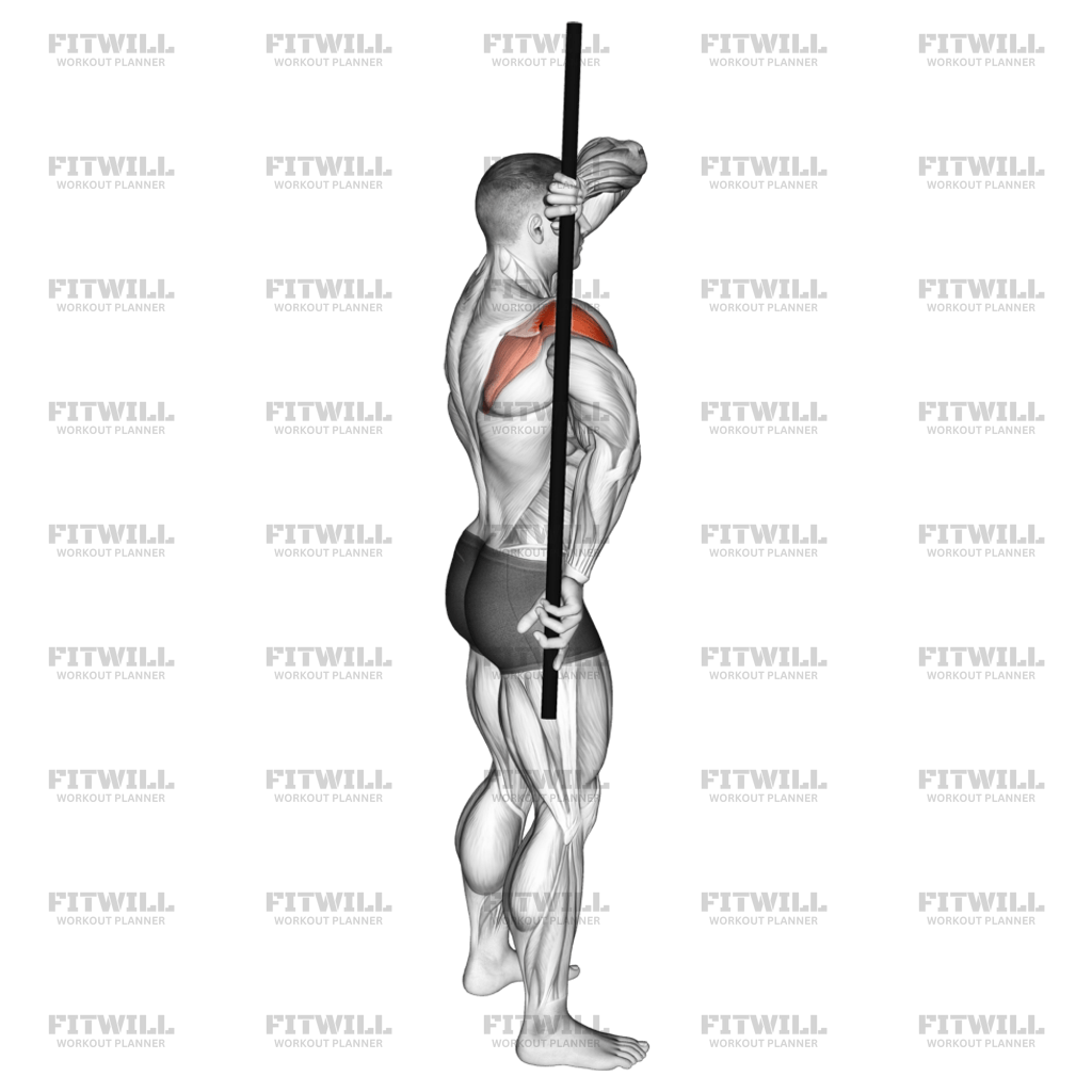 Arm Down Rotator Stretch: Exercise Guide, Techniques, Benefits, How to ...