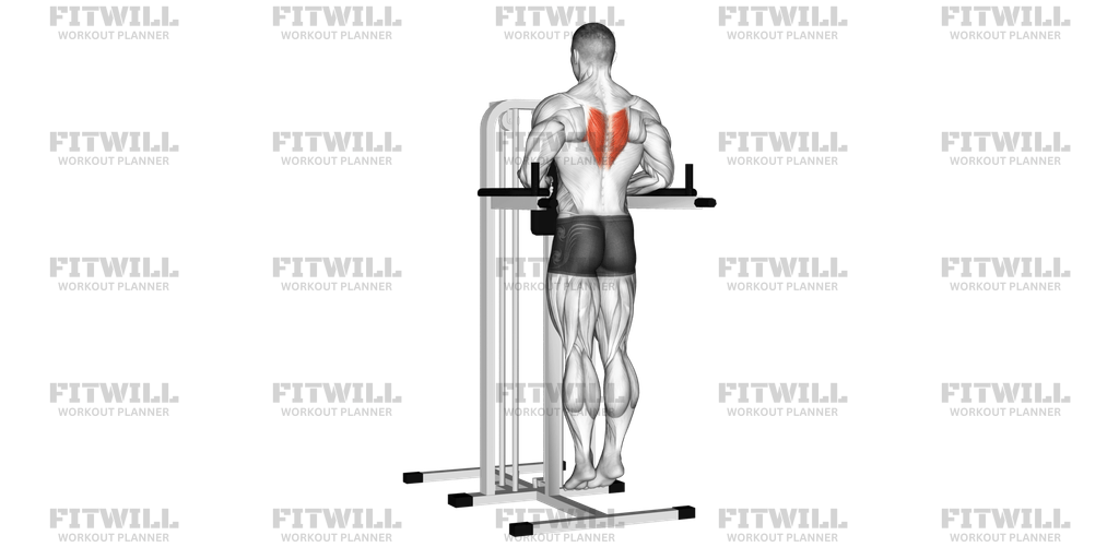 Depression In Parallel Bars Stretch: Exercise Guide, Techniques ...