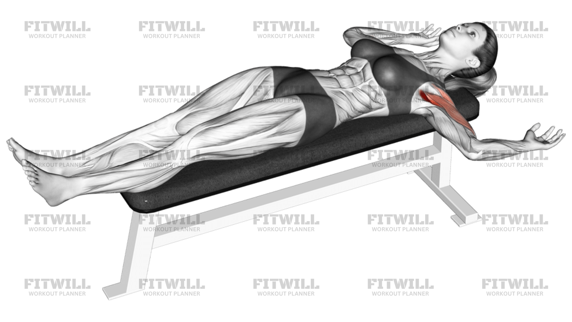 External Shoulder Rotation Stretch: Exercise Guide, Techniques ...