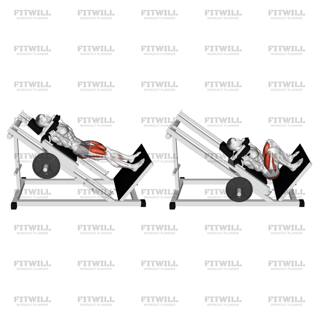 Leg Day Strength Training Workout for Powerful Quads, Hamstrings ...