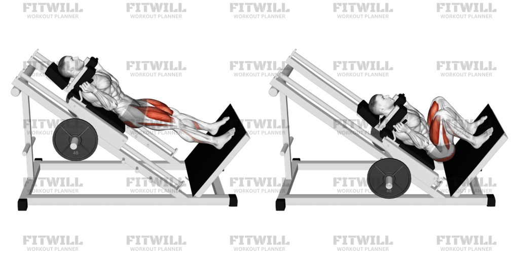 Leg Day Strength Training Workout for Powerful Quads, Hamstrings ...