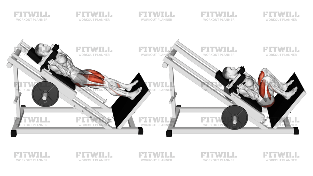 Sentadilla Hack Completa En Trineo: Guía de Ejercicios, Video, Técnicas ...