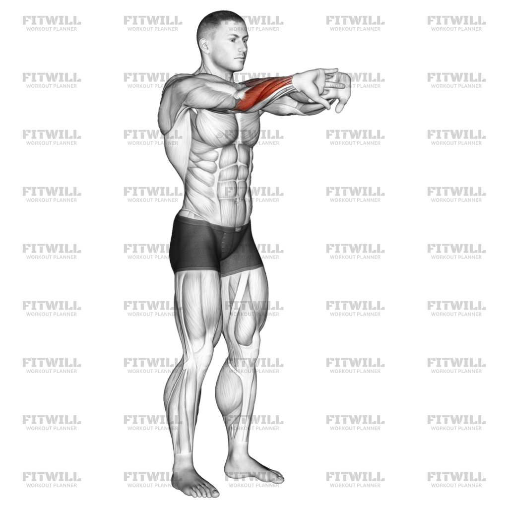 Palms Out Forearm Stretch: Exercise Guide, Techniques, Benefits, How to ...