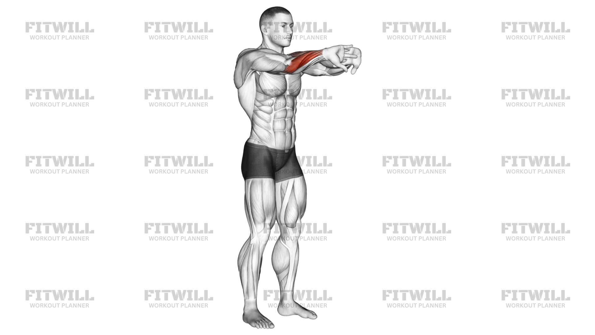 Palms Out Forearm Stretch: Exercise Guide, Techniques, Benefits, How to ...