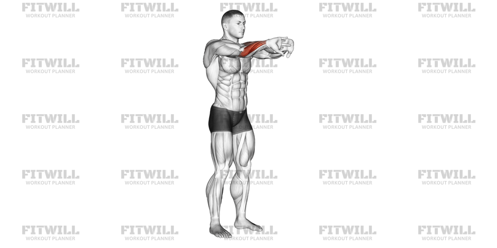 Palms Out Forearm Stretch: Exercise Guide, Techniques, Benefits, How to ...