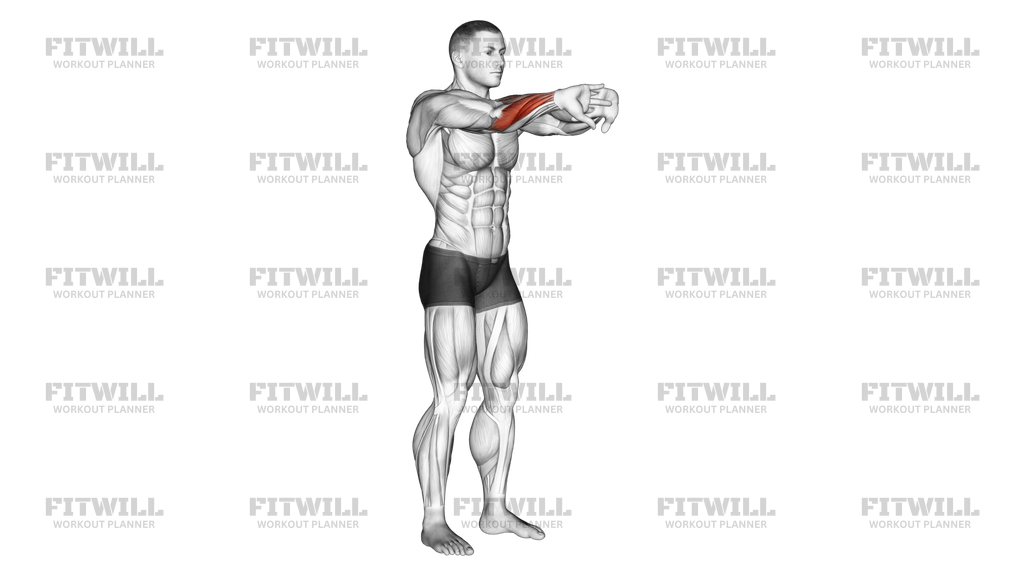 Palms Out Forearm Stretch: Exercise Guide, Techniques, Benefits, How to ...