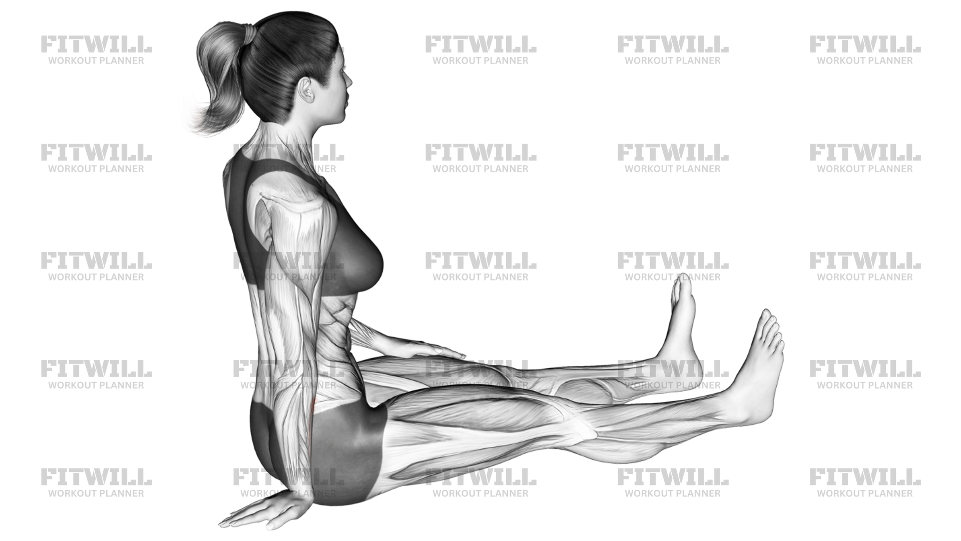 Seated Wrist Ulnar Deviator And Flexor Stretch: Exercise Guide ...