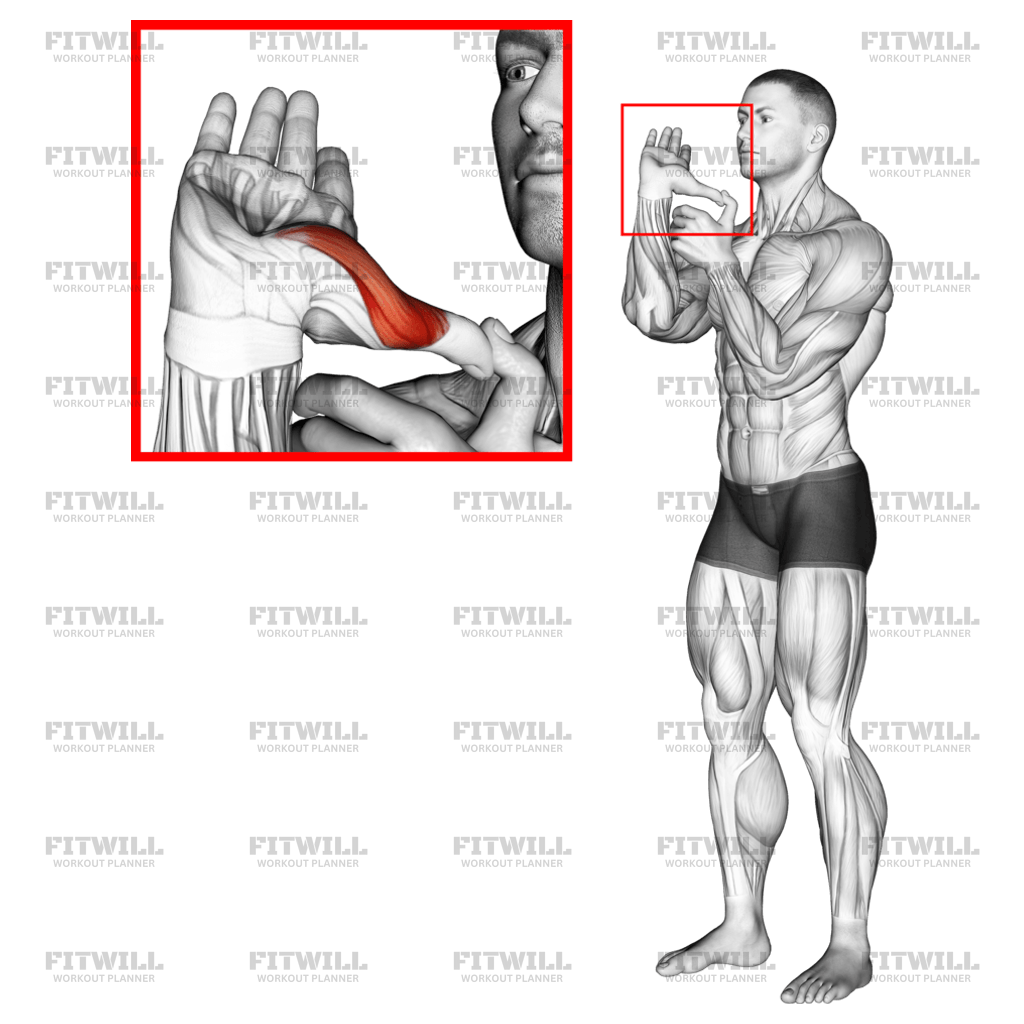 Thumb Stretch: Guide, Techniques, Benefits, How to, Muscles Worked ...
