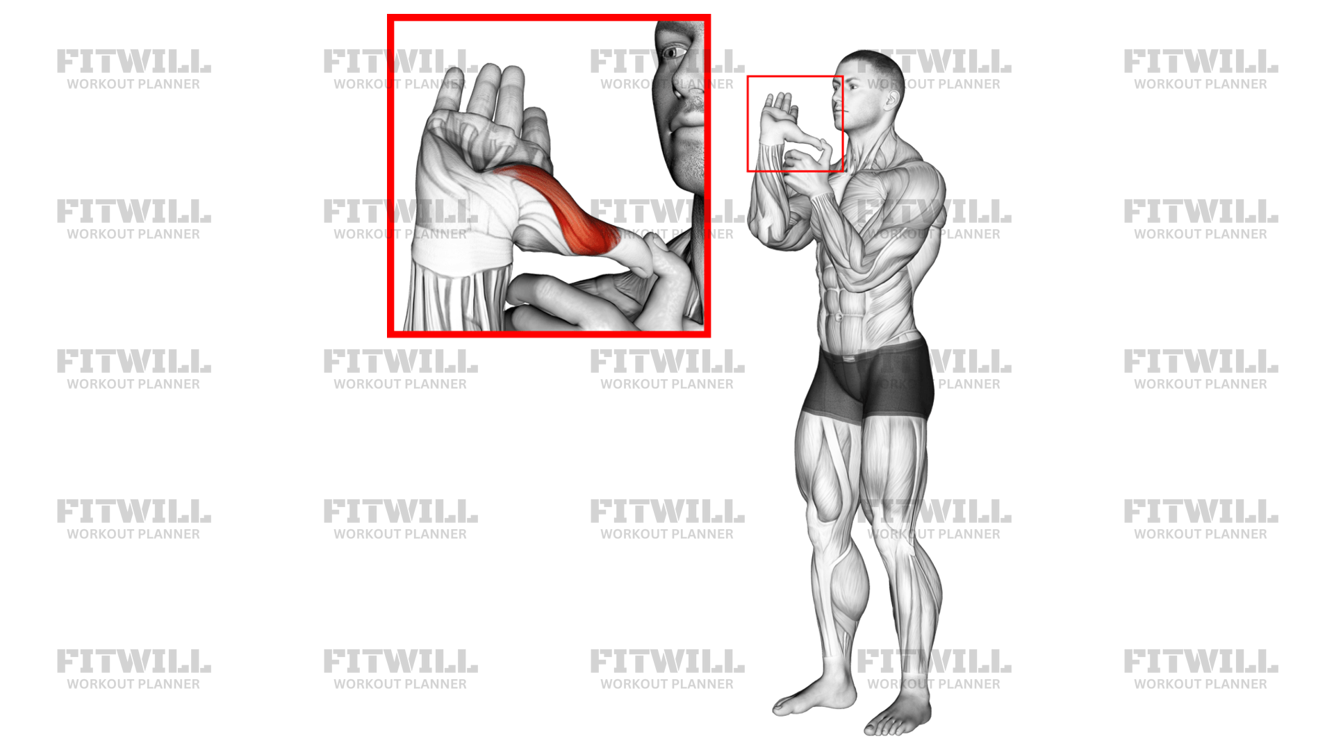 Thumb Stretch: Exercise Guide, Techniques, Benefits, How to, Muscles ...