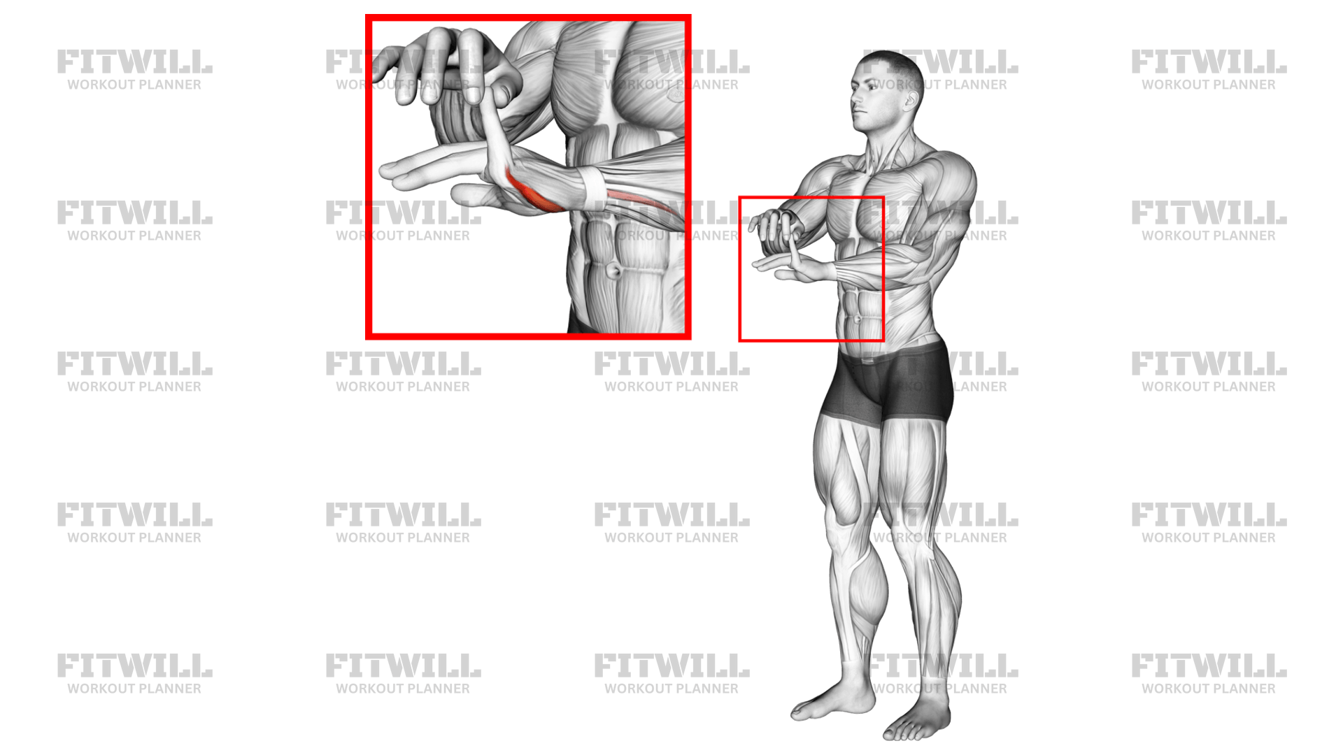 Finger Extension Stretch: Exercise Guide, Techniques, Benefits, How to ...