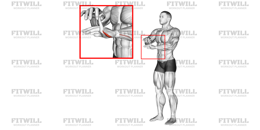 Finger Extension Stretch: Exercise Guide, Techniques, Benefits, How to ...