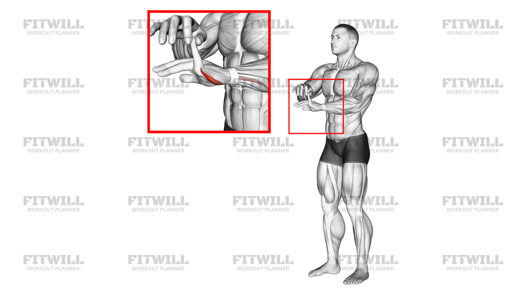 Finger Extension Stretch: Exercise Guide, Techniques, Benefits, How to ...