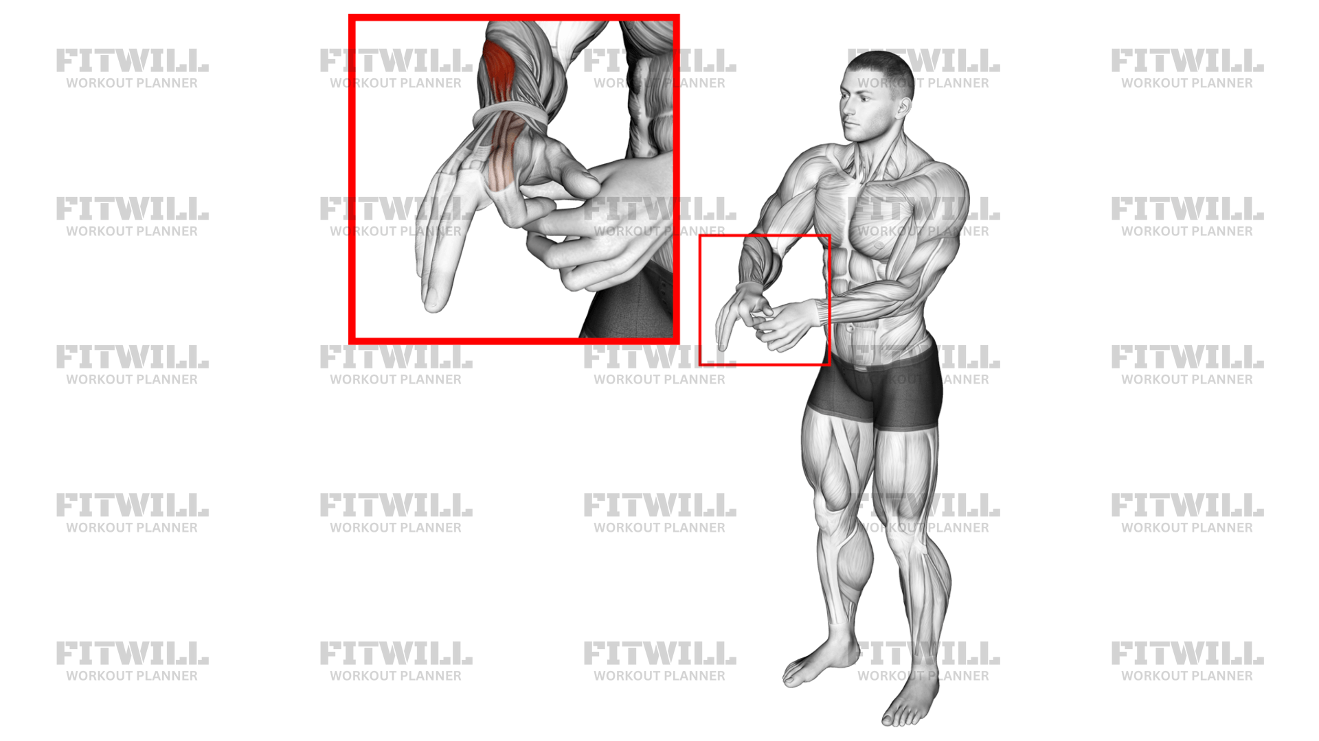Flexion Finger Stretch: Exercise Guide, Techniques, Benefits, How to ...