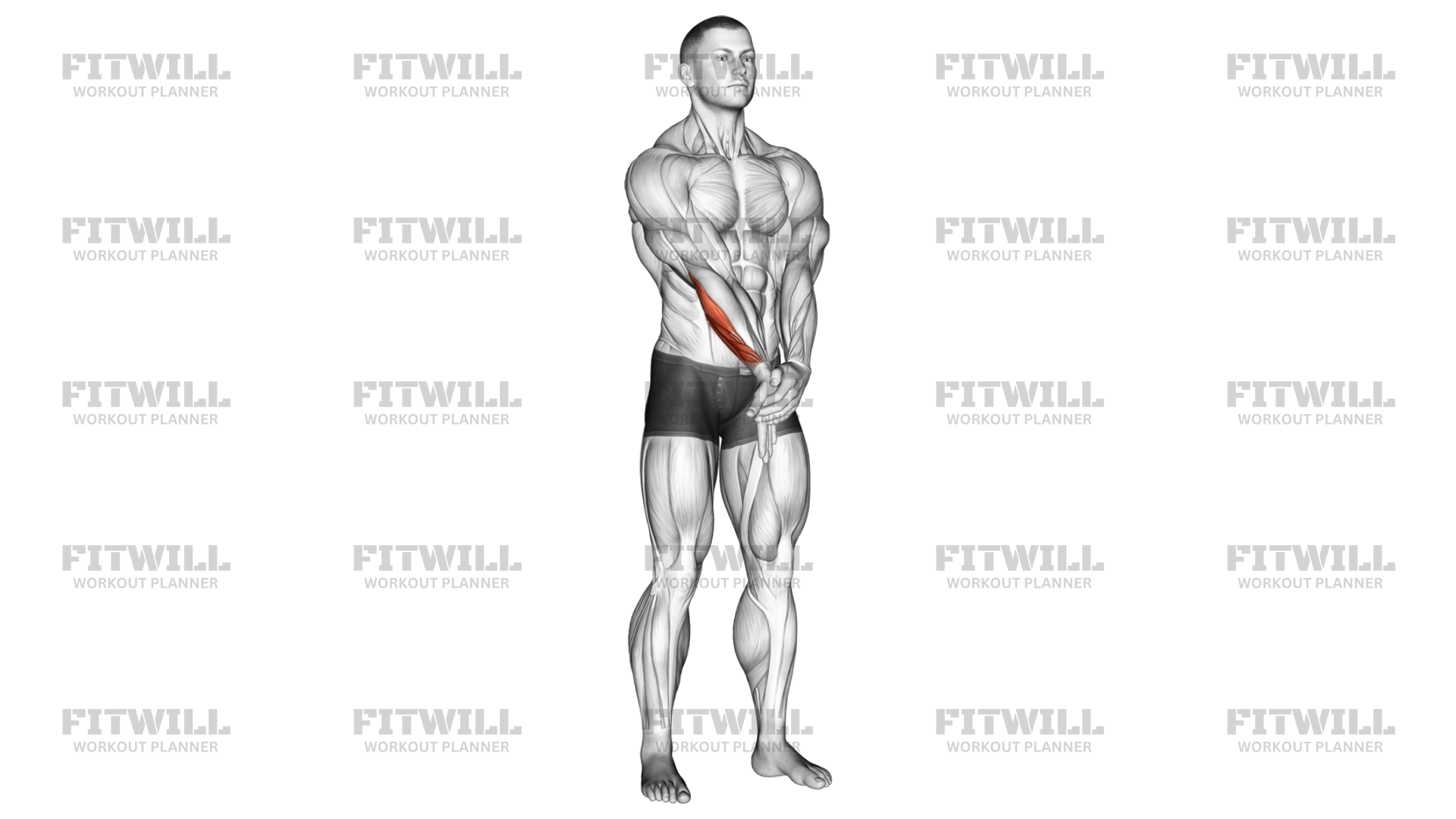 Adduction Hand With Elbow Extended Stretch: Exercise Guide, Techniques ...