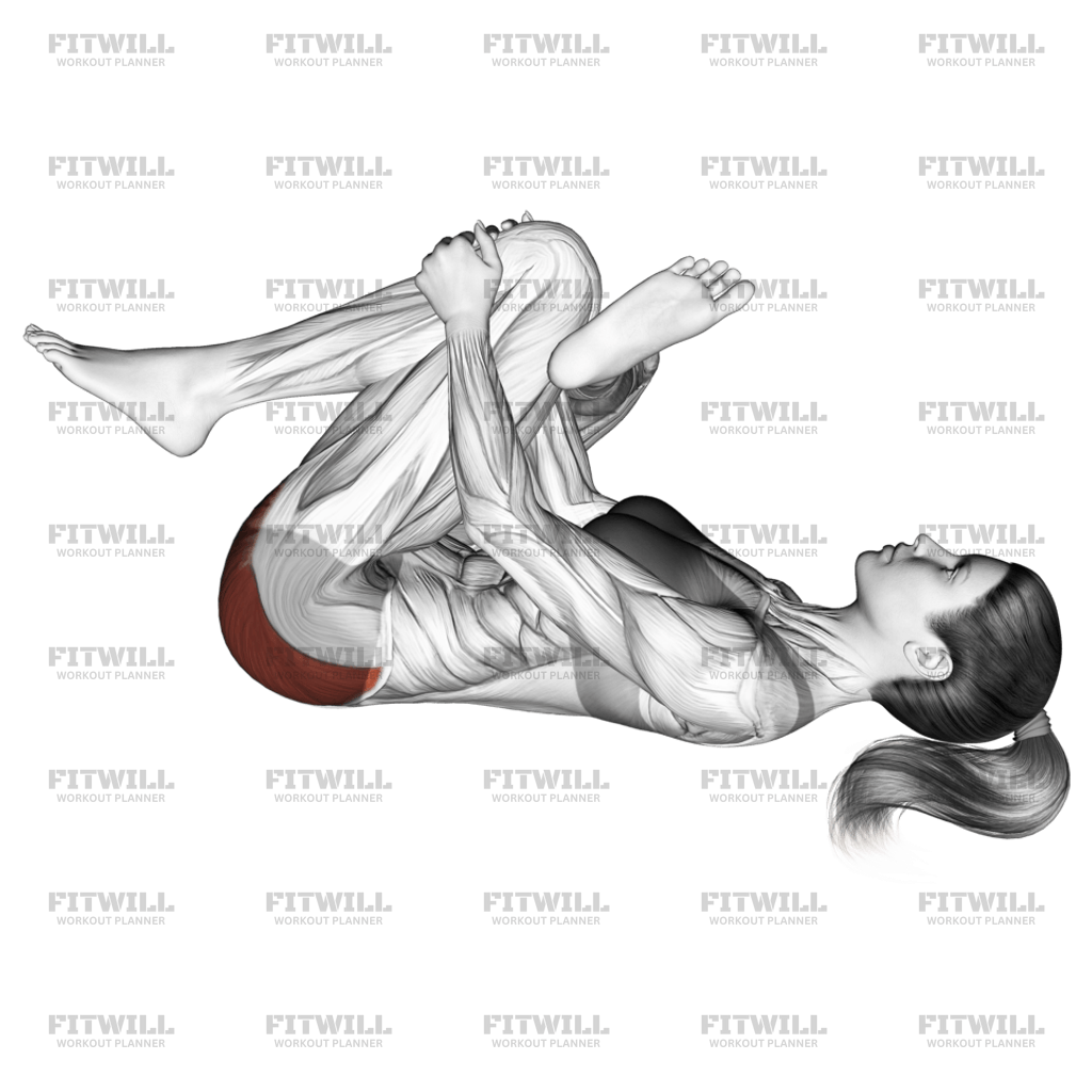Recumbent Hip External Rotator And Hip Extensor Stretch Crossed Leg Exercise Guide
