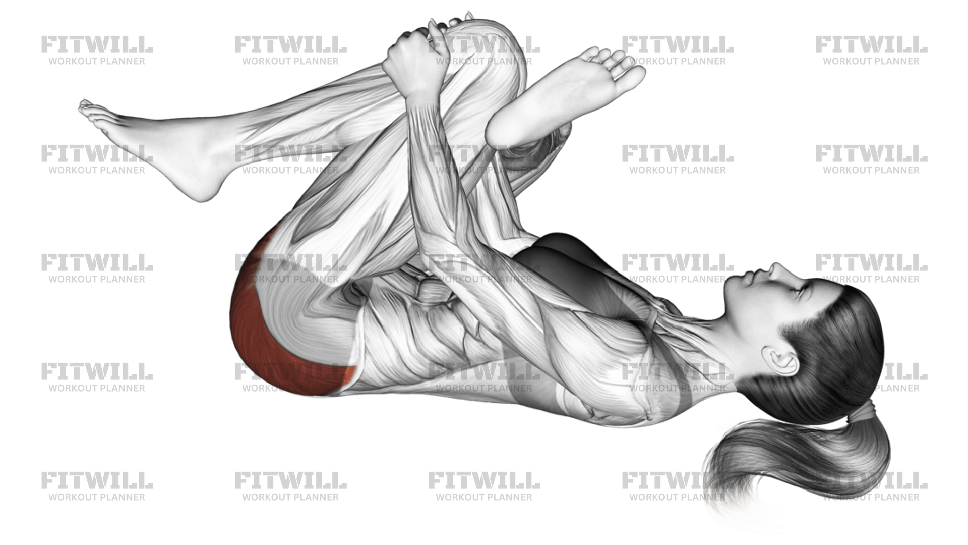 Recumbent Hip External Rotator And Hip Extensor Stretch (Crossed Leg ...