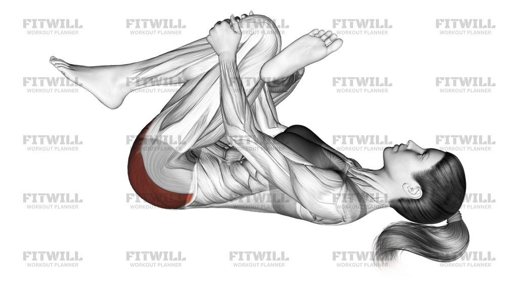 Recumbent Hip External Rotator And Hip Extensor Stretch (Crossed Leg ...