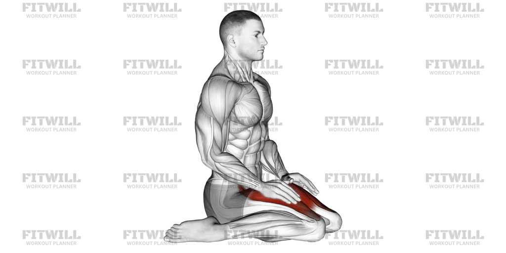 Seated Quadriceps Stretch: Exercise Guide, Techniques, Benefits, How to ...