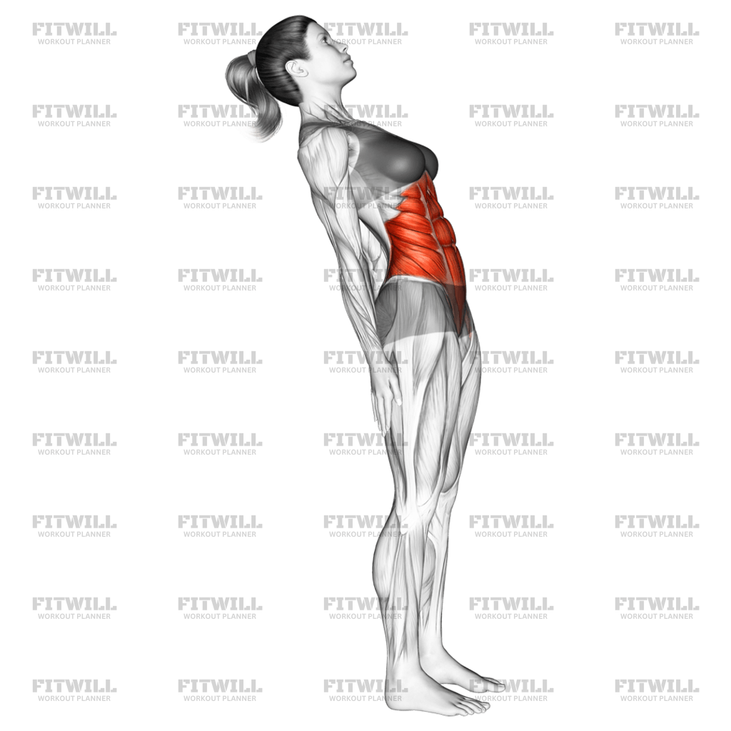 Standing Lean Back Stomach Stretch: Exercise Guide, Techniques ...