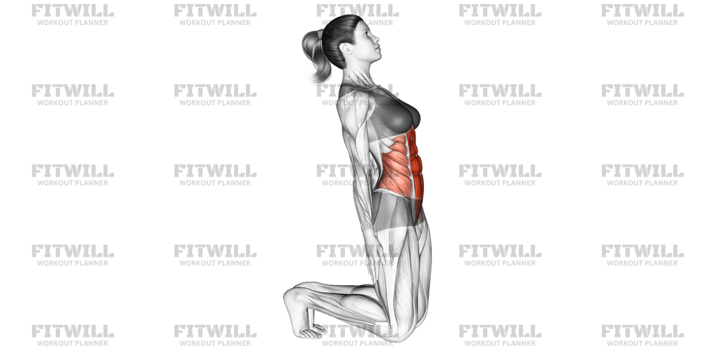 Kneeling Abdominal Stretch: Exercise Guide, Techniques, Benefits, How ...