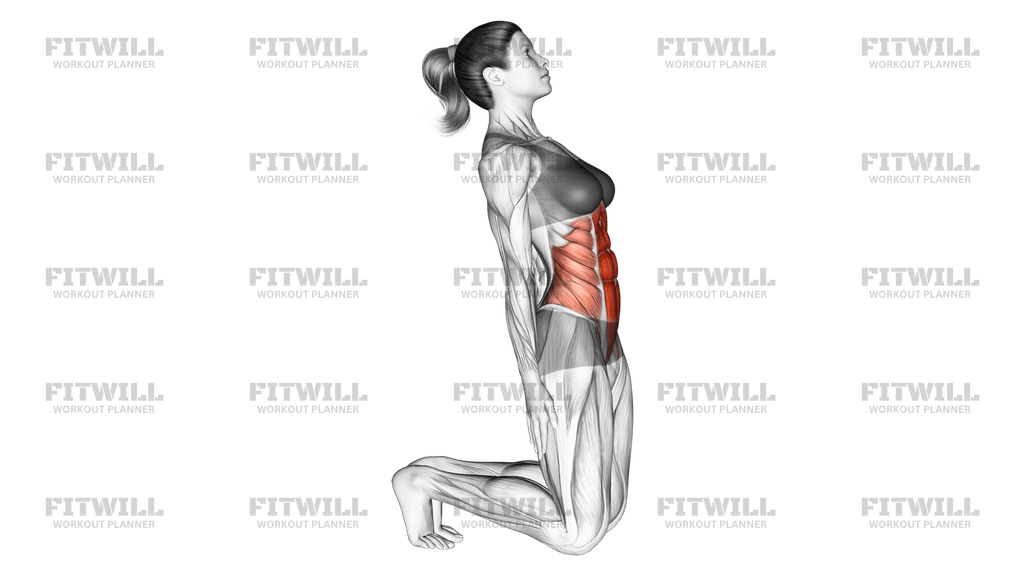 Kneeling Abdominal Stretch: Exercise Guide, Techniques, Benefits, How ...