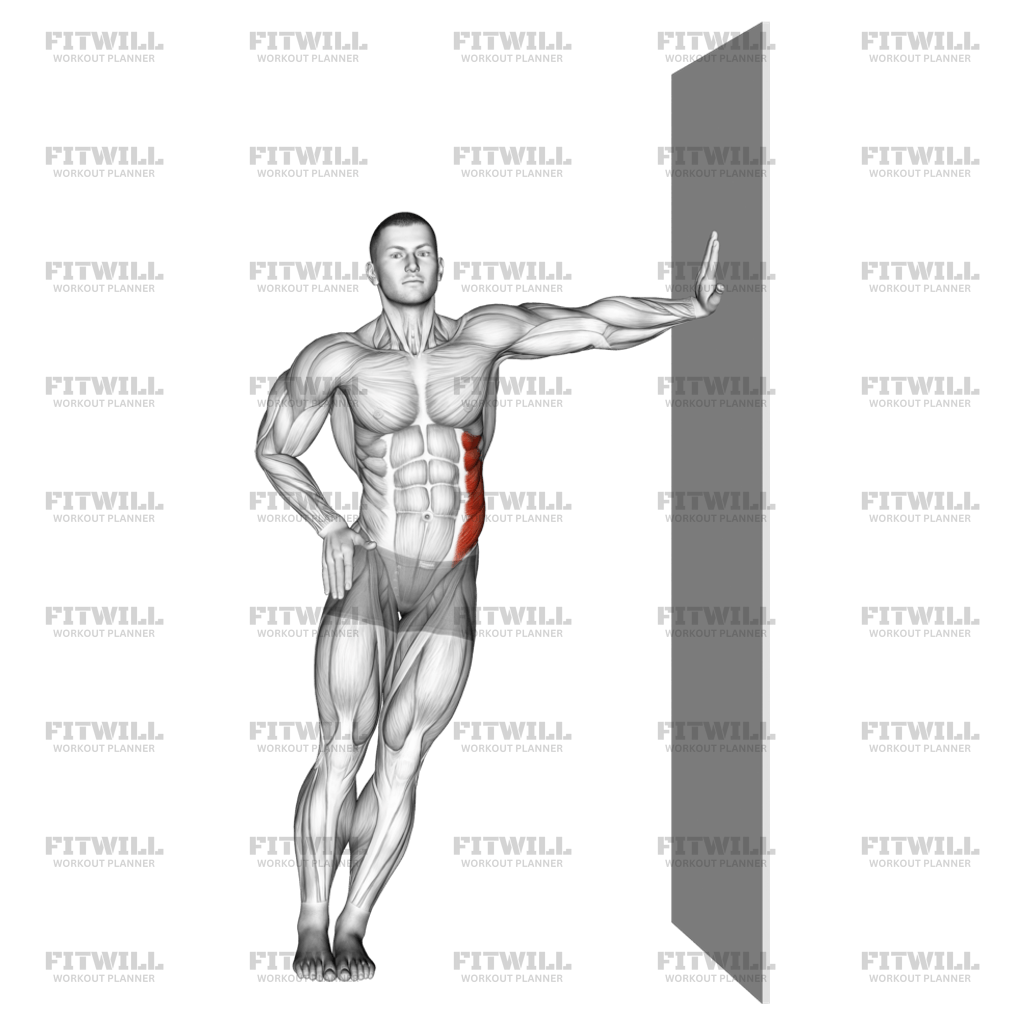 Standing Lower Trunk Lateral Flexor Stretch: Exercise Guide, Techniques ...
